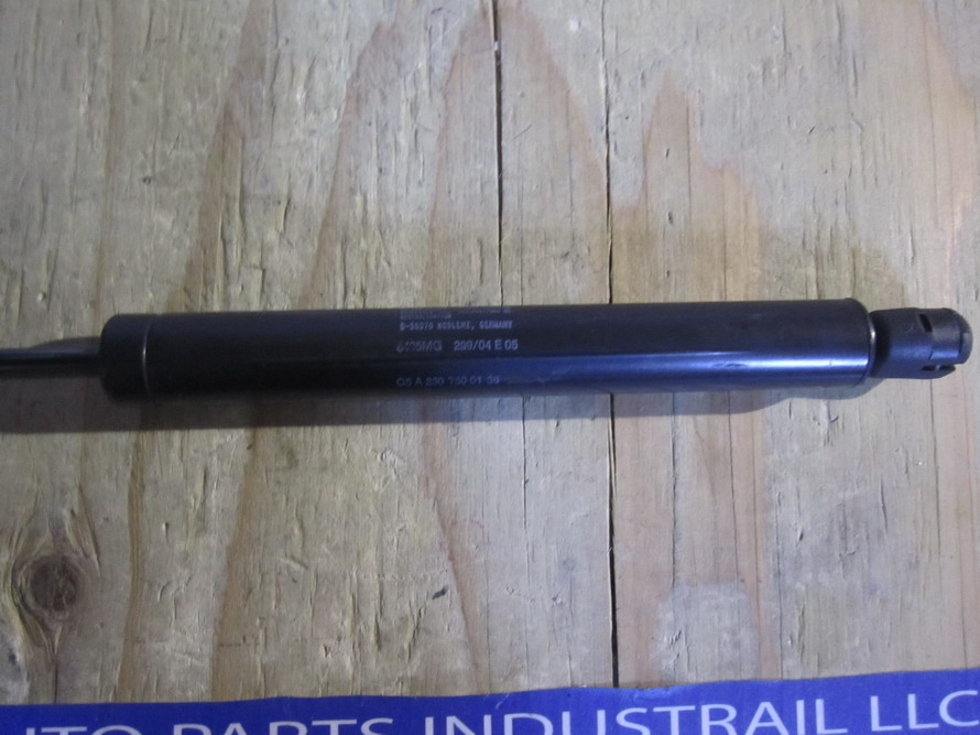 Mercedes Benz SL500 - SL600 - Strut - Shock - 2307500136: Used Auto ...